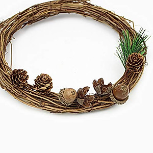 Queenbox 20Pcs Natural Dried Acorn Cap Craft DIY, Home Christmas Thanksgiving Decorative Fall Winter Holiday Home Decor