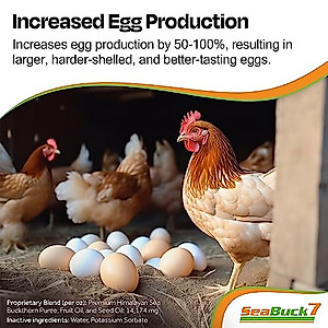 SeaBuck 7 Chicken & Bird Supplement with Sea Buckthorn to Improve Egg Quality (1-Month Supply for 20 Chickens) – Earlier Laying, Egg Production Booster & Higher Quality Eggs