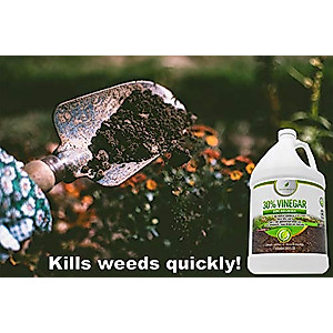 Natural Elements 30% Vinegar | Home & Garden | 6X Cleaning Power | Multiple Uses | 1 Gallon