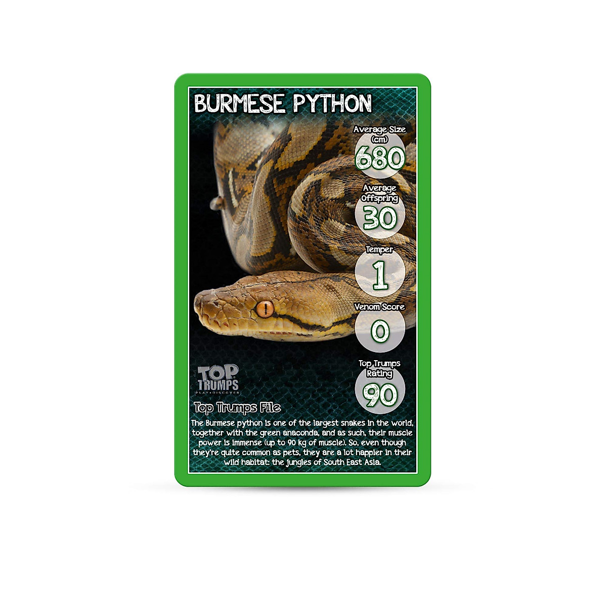 Snakes Top Trumps Card Game, One size (002876)