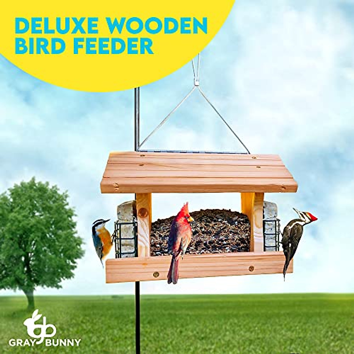 Large Cedar Bird House, Bird Feeder Hopper - Bird Feeders for Outdoors Hanging with 2 Suet Cages, Window and Heavy Duty 5.2 Lb Hold Capacity