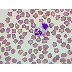 Volu-Sol, Dip-Stain Kit - (125 mL / 4 oz.)