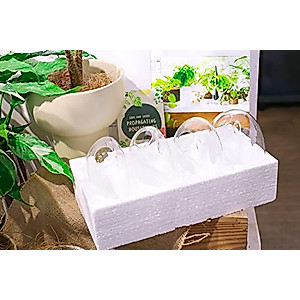 Ivolador Wall Mounted Plant Terrariums Oblate Hanging Glass Propagation Station Container for Propagating Hydroponic Plants Home Garden Wedding Décor