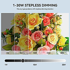 Photo Studio Light Box for Photography: Takerers 16"x16" Upgraded 480 LED Product Lightbox with 3 Stepless Dimming Light Panels, Professional Photo Background Shooting Tent with 4 Color Backdrops