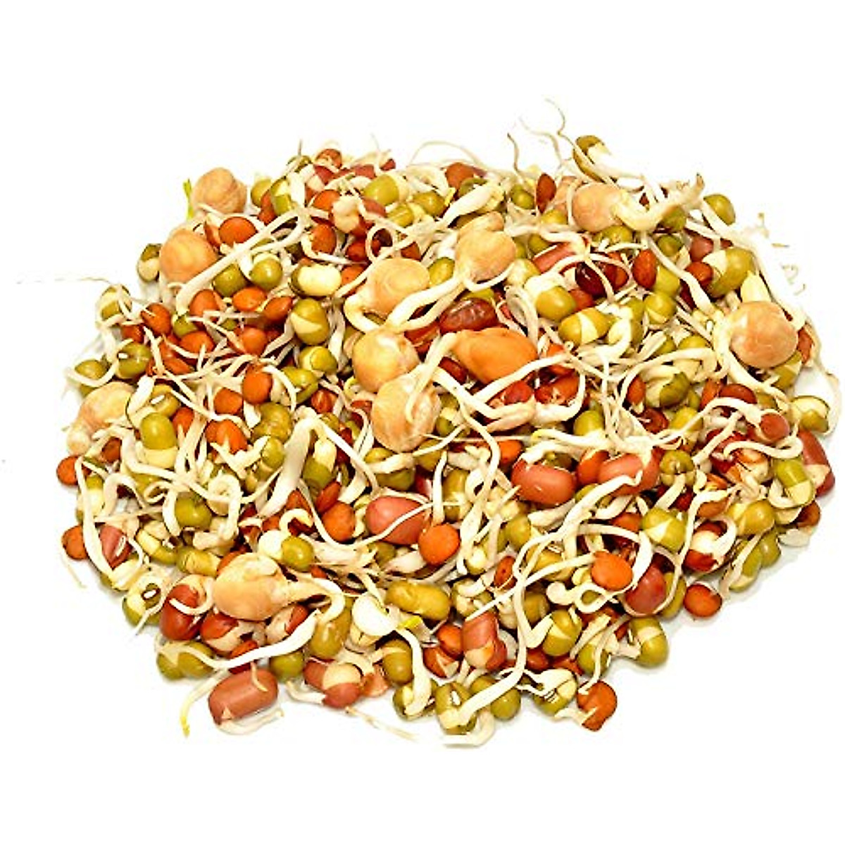 Handy Pantry Organic 5-Part Salad Sprouting Mix - 16 oz