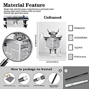 WOKEZ Funny Highland Cow Canvas Wall Art Print Painting Cute Black and White Cow Picture Animal Posters Rustic Farmhouse Style Wall Decor for Office Bathroom Restroom 12x16in Unframed