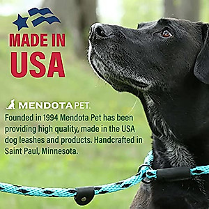Mendota Pet Slip Leash - Dog Lead and Collar Combo - Made in The USA - Black, 3/8 in x 6 ft - for Small/Medium Breeds