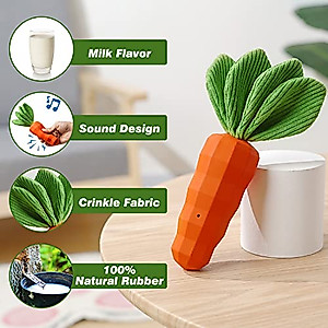 Dog Squeaky Chew Toys for Aggressive Chewers, Rubber Carrot Dog Toys for Training and Cleaning, Durable Interactive Tough Dog Toy for Puppy Medium Large Dogs