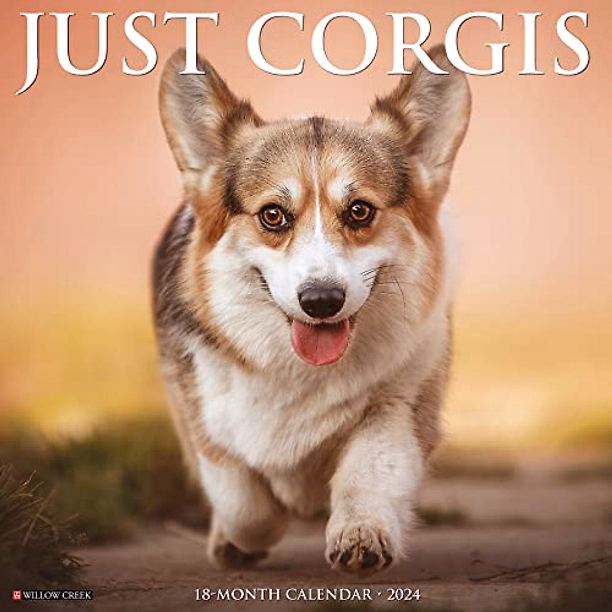 Willow Creek Press Corgis Monthly 2024 Wall Calendar (12" x 12")