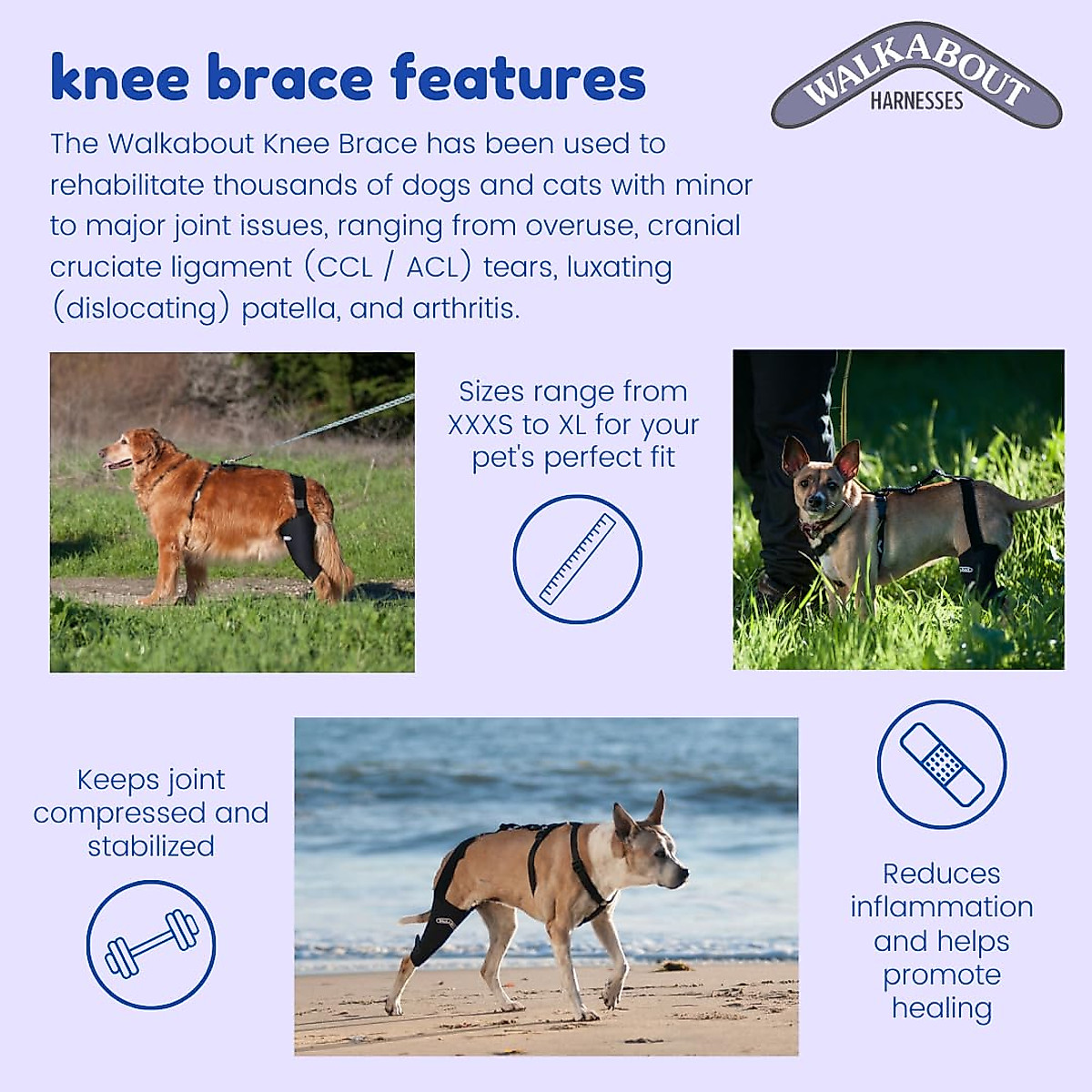 Walkabout Harnesses Black Knee Brace for Dogs Treat ACL, CCL Injury, Arthritis, Joint Pain, Fatigue and Stress with The Walkabout Knee Brace (ML Right)