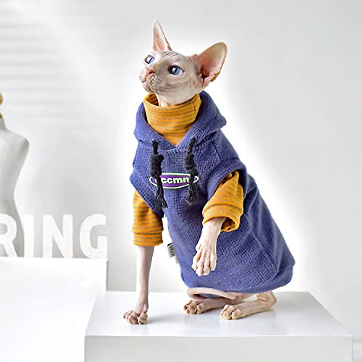 2 Set of Sphynx Cat Clothes,Sphynx Hairless Cats Turtleneck Shirt and Hoody Sweater Lovely Stripe Design, Breathable Cat Wear Clothes Sweater for Sphynx, Cornish Rex, Devon Rex, Peterbald (XL)