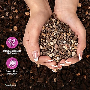 Molly's Succulent Mix - Premium Gritty Soilless Potting Mix for Succulents, Cactus and Bonsai - Contains Akadama, Hyuga, Bark Fines, Pumice, Lava Rock, Mycorrhizae 3.3 Liters