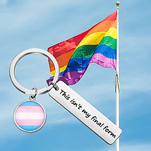 BAUNA LGBTQ Transgender Pride Key Chain Trans Flag Gift This Isn’t My Final Form Gay Pride Jewelry Gift (Transgender Keychain)