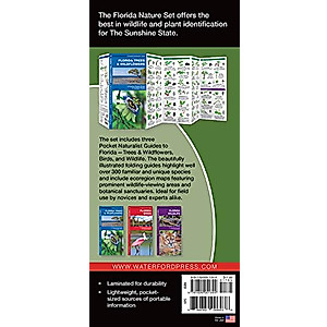 Florida Nature Set: Field Guides to Wildlife, Birds, Trees & Wildflowers of Florida (Nature Observation North America)