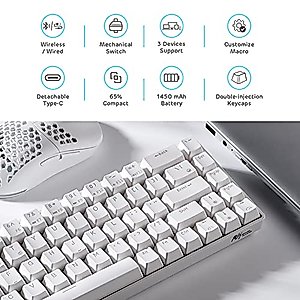 RK ROYAL KLUDGE RK68 Wireless Hot Swappable 65% Mechanical Keyboard, 68 Keys Compact BT5.0 Gaming Keyboard with Stand-Alone Arrow/Control Keys, Quiet Red Switch