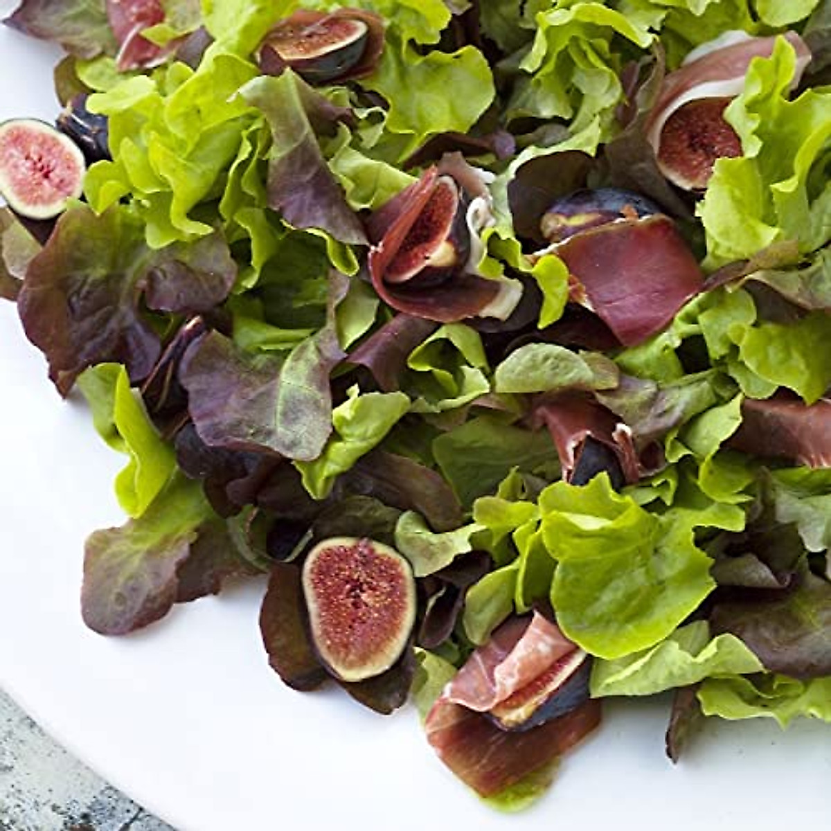 Lettuce Seeds - Salad Bowl - Green - 5 Pounds - Vegetable Seeds, Heirloom Seed Easy to Grow & Maintain, Fast Growing, Leafy Vegetable, Container Garden