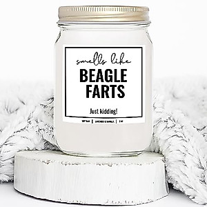 YouNique Designs Smells Like Beagle Farts Soy Candle 8oz - Dog Farts Candle Beagle Gifts for Beagle Lovers - Beagle Gifts for Women, Men - Beagle Dad Gifts, Dog Mom Gifts (Lavender & Vanilla)
