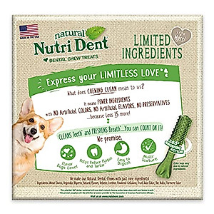 Nylabone Nutri Dent Dog Dental Treats - Natural Dog Teeth Cleaning & Breath Freshener - Dental Treats for Dogs - Fresh Breath Flavor, Mini (160 Count)