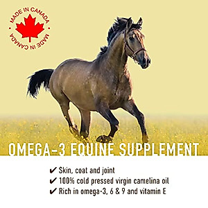 Virgin Camelina Oil for Equine, Dogs and Cats, 1 Gallon, Rich in Omega-3, 6, 9, Vitamin E, Fatty Acids. 100% Pure & Cold Pressed. Supports Skin, Coat, Joint Health. Product of Canada