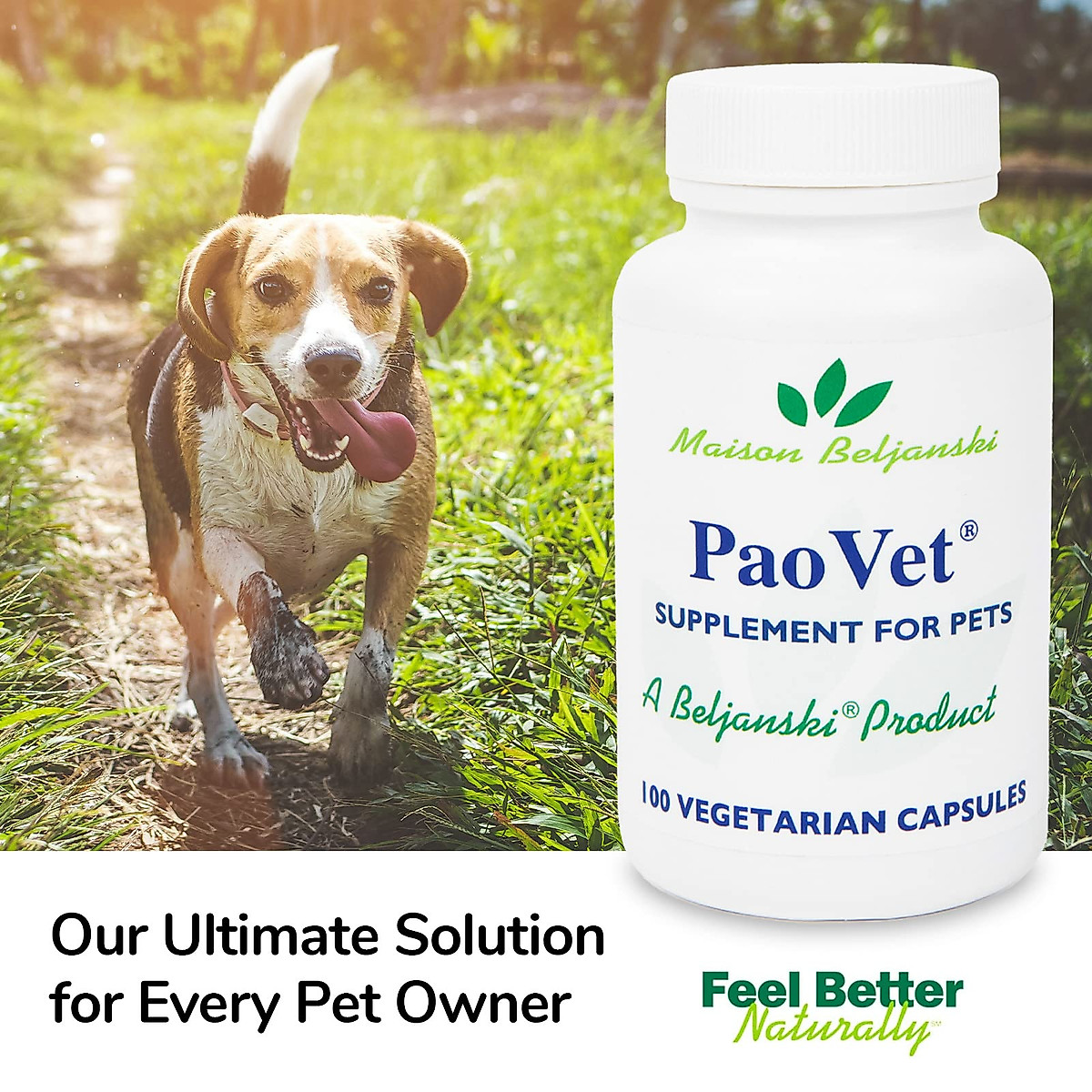 Beljanski® Product - PaoVet® - Pao Pereira Immune Support Pet Supplement - 100 Capsules