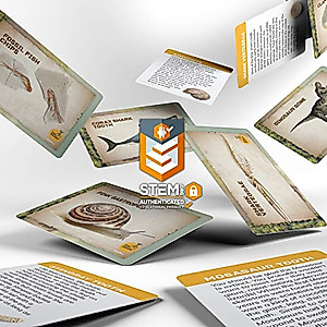 Dig a Dozen Fossil Bricks - Break Open 12 Bricks and Discover 12 Unique Real Fossils - Archaeology Science STEM Gift