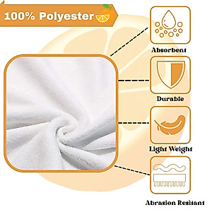 Kitchen Towels Lemon & Watermelon Home Collection 2Pcs Printed Summer Spring Absorbent Tropical Bar Dish Hand Decoration Bathroom Towel 15x25in Drying Soft Feel 100% Polyester Cooking Baking Gifts Set