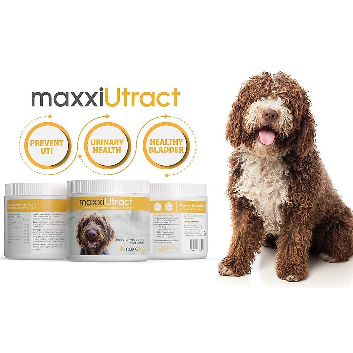 maxxipaws UTI Calm Bundle – maxxiUtract Urinary and Bladder Support for Dogs & maxxicalm Canine Calming Supplement