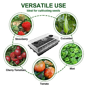 Maylaviu Seed Starter Tray, 4 Pack Seed Starter Kit with Adjustable Humidity Dome,Mini Greenhouse Kit Indoor for Cloning, Propagation, Sprouting and Germination (160 Cell)