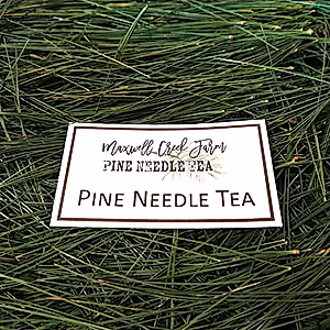 Organic Pine Needles for Tea | FRESH NOT DRIED | Maxwell Creek Farm | Loose Needles | Immune Boosting | Includes Trial Custom Blend Pine Needle Tea Bag! (2 Ounce Trial)