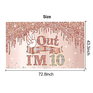 Large 10 Years Old Birthday Banner Decorations for Girls, Pink Rose Gold 10th Birthday Backdrop Party Supplies, Out Single Digits I'm 10 Bday Poster Background Sign Decor