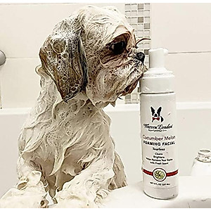 Warren London Foaming Pet Facial | Tear Free Dog Face Wash | Tearless Dog Shampoo for Faces & Dog Eye Stain Remover | Refreshing Cucumber Melon Wash | Made in USA | 8oz