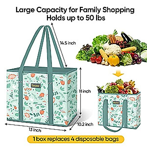 BALEINE 3Pk Reusable Grocery Bags, Foldable Shopping Bags for Groceries with Reinforced Bottom & Handles (Spring Stroll)