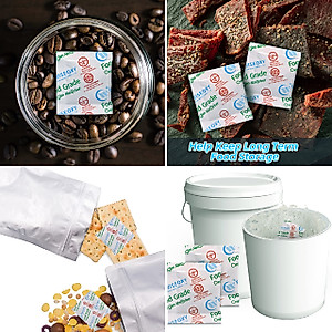 Wisesorb Oxygen Absorbers for Food Storage 300CC 100 Packets, Food Grade Oxygen Absorbers, O2 Absorbers Food Grade for Food Storage