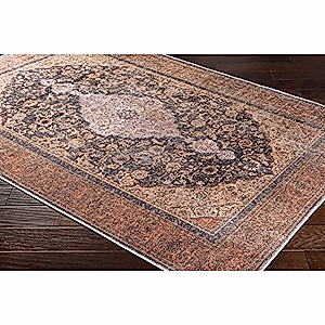 Artistic Weavers Bonita Vintage Oriental Area Rug, 2'7" x 7'10", Clay