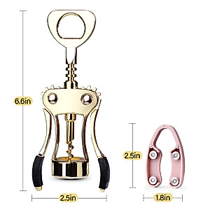 Drincarier Wine Opener, Zinc Alloy Premium Wing Corkscrew Wine Bottle Opener with Multifunctional Bottles Opener, Upgrade (Gold Opener With Foil Cutter)