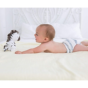 Smart Nappy Cloth Diaper Reusable Inserts, Set of 10, Fits Honest Hybrid Diaper Cover, Fits Amazing Baby SmartNappy Cover, Pocket-Sling Compatible, 5 Tri-fold & 5 Boosters, Size Med/Large