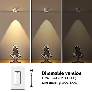 3.9" LED COB Ceiling Spotlight Indoor,7W 3000K Dimmable Warm White Directional Accent Light Fixture,White Aluminum Spot Light for Hallway Corridor Gallery Display Kitchen Living Room and Bedroom