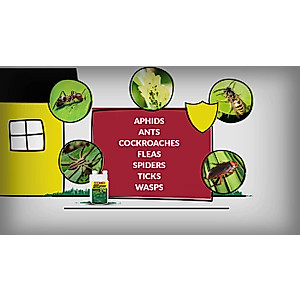 Compare-N-Save 7.9% Bifenthrin Concentrate for Insect Control, 8-ounce