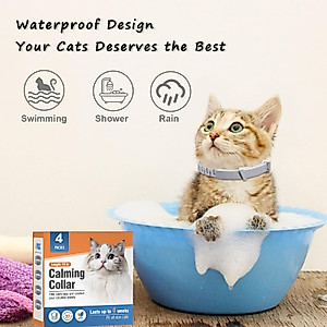 4Pcs Relaxants Cat Calming Collar for Anxiety Relief & Overgrooming - Effective Pheromone Cat Collar for Anti-Aggression & Indoor Cats - Therapet Calm Collar for Comfort Zone Relaxation (Gray)