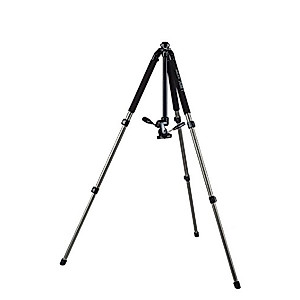 SLIK Pro 700 DX Tripod with 700DX 3-Way, Pan-and-Tilt Head - Titanium