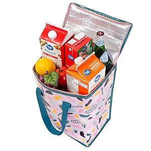 Planet E Reusable Grocery Picnic Shopping Bags - Heavy Duty Colorful Collapsible Insulated Zip Coolers (Pack of 3)