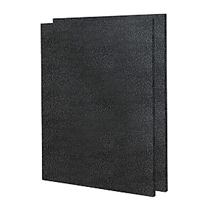 Sharper Image MD1-0044 Activated Carbon Replacement Filters for PURIFY 3, Black, 2 Count