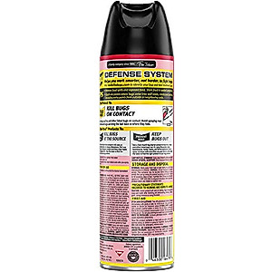 Raid Ant & Roach Killer Lemon Scent, 17.5 OZ (12)