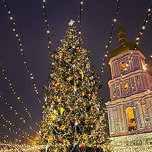 MUYUN Christmas String Lights Outdoor 105ft 300 LED Tree Lights Plug-in Waterproof Outdoor Fairy Lights for Xmas New Year Holiday Party