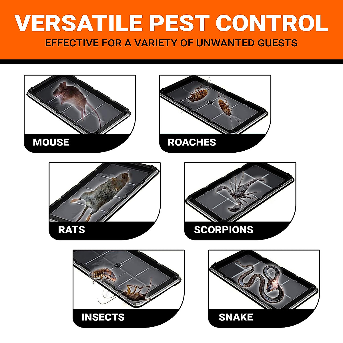 PESTQUEST 12 Pack Glue Mouse Traps Indoor for Home, Large Glue Traps for Mice and Rats, Pre-Baited Peanut Scent Sticky Rat Traps for Inside House, Snake, Lizard, Insect & Spiders, Pet & Family Safe