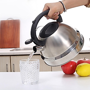 AYNEFY Whistling Tea Kettle, Stainless Steel, Easy to, Suitable for Induction Cooker and Gas Stove, AYNEFY2U6OBNVTI4