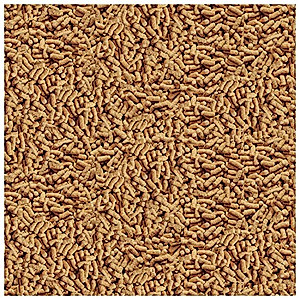 TetraPond Pond Sticks, Pond Fish Food, for Goldfish and Koi, 1.72 Pounds