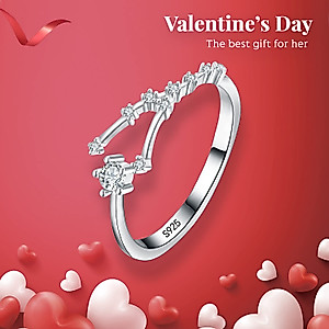 BriLove 925 Sterling Silver CZ Ring for Mom Women -Taurus Horoscope Zodiac 12 Constellation Astrology Adjustable Rings for Statement Valentines Day/Anniversary/Mothers Day/Birthday/Christmas