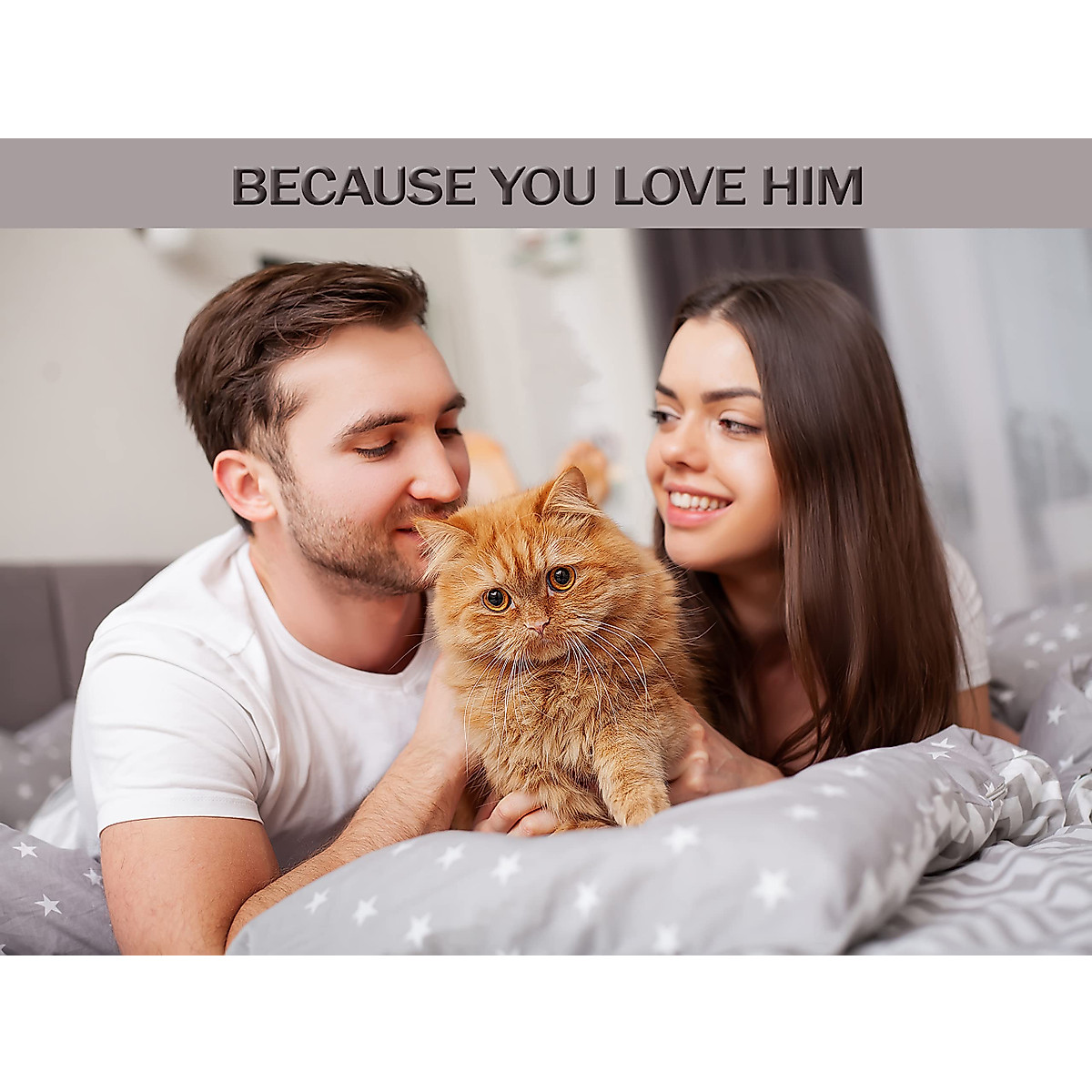 Optimum You Colloidal Silver Liquid for Pets, Dogs, Cats | 500 ppm, Extra Strength (8 oz) | Spray & Drops | Hot Spot & Itch Relief | Wound Care | Immune Support