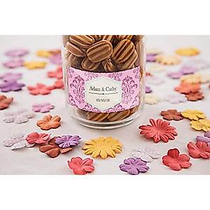 Brother Genuine CZ-1005 continuous length ~ 2 (1.97”) 50 mm wide x 16.4 ft. (5 m) long label roll featuring ZINK Zero Ink technology